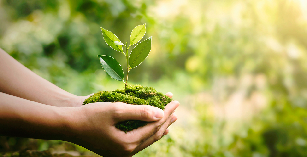 Le Dr Caroline Semaille est nommée directrice générale de Santé ...